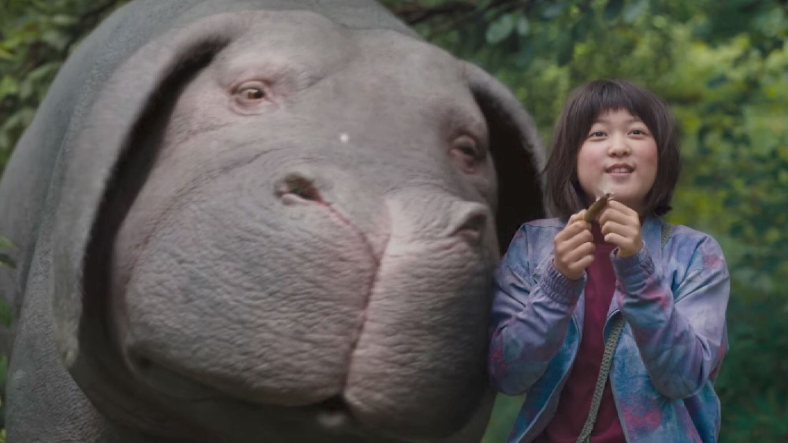 Okja (2017)﻿: This Netflix Movie is a Huge Entertainer – Motion Picture ...